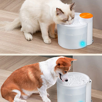 WOpet Glitter Pet Water Fountain for Cats & Dogs