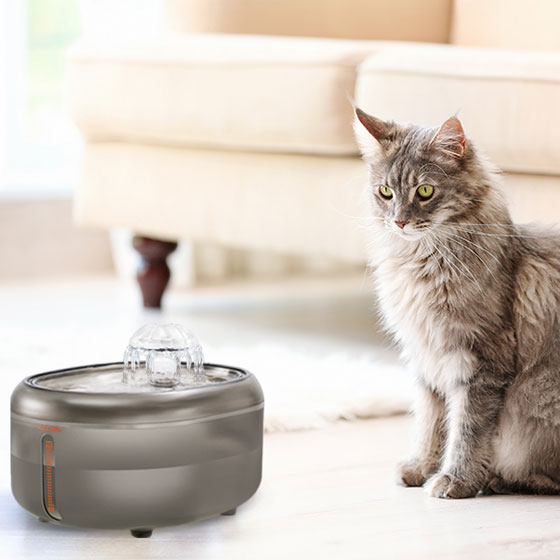 WOpet® Official - Boundless Love for Pets, Bring Joy to All Pet Lovers