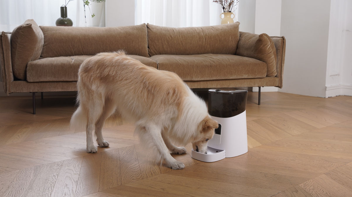 WOpet Automatic Pet Feeder WiFi Cat Feeder with Remote Control