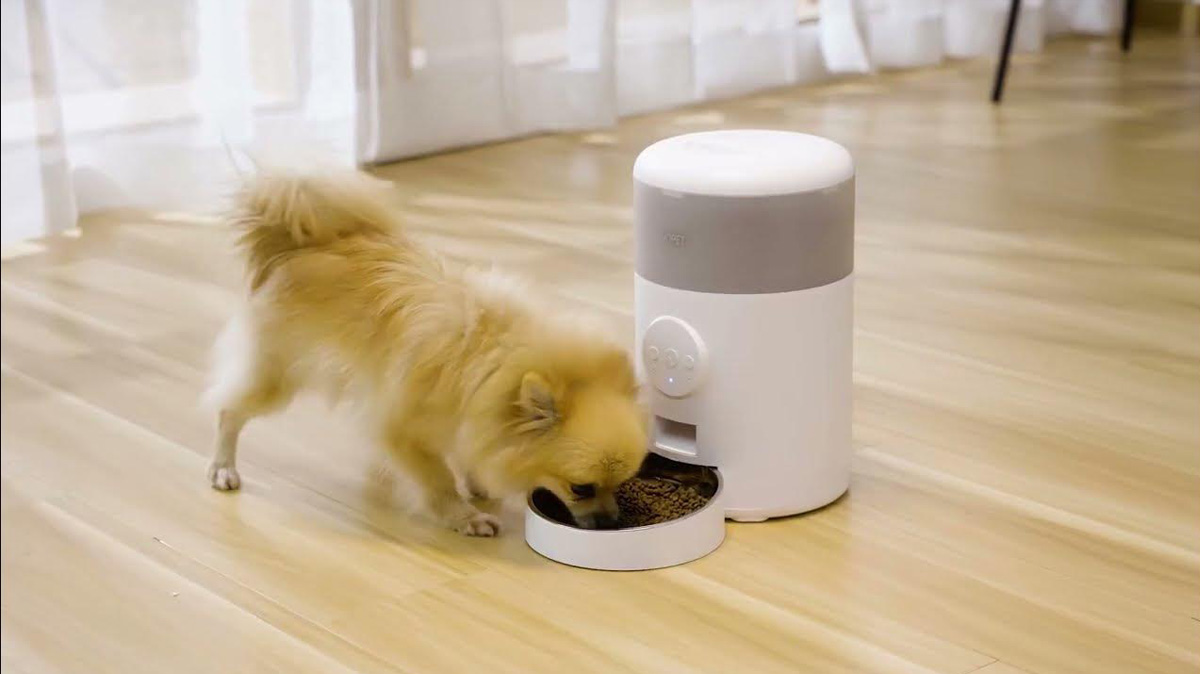 WOpet Automatic Feeder For Cat & Dog Auto Cat Feeder