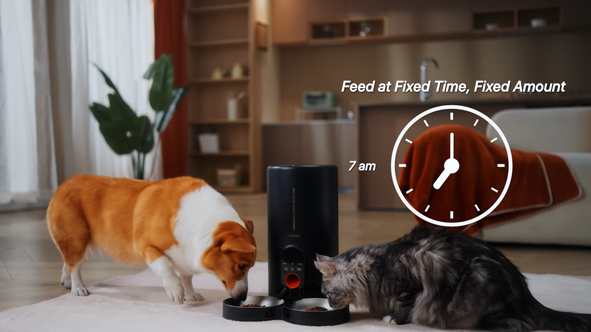 WOpet Heritage Air Pet Feeder Smart Pace Feeder Duo Bowls
