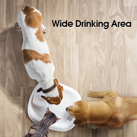 WOpet Basin Pet Water Fountain for Large Dogs