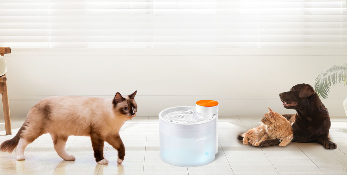 WOpet Glitter Pet Water Fountain for Cats & Dogs