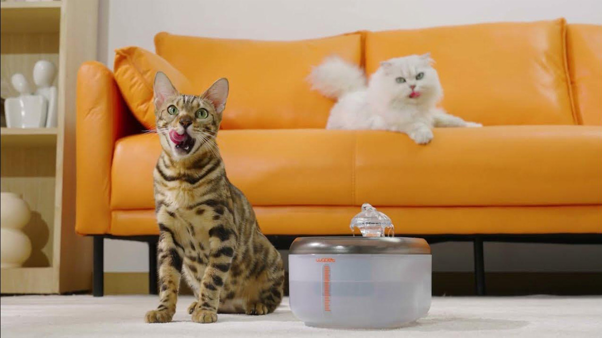 WOpet Cat Water Fountain & Dog Water Dispenser
