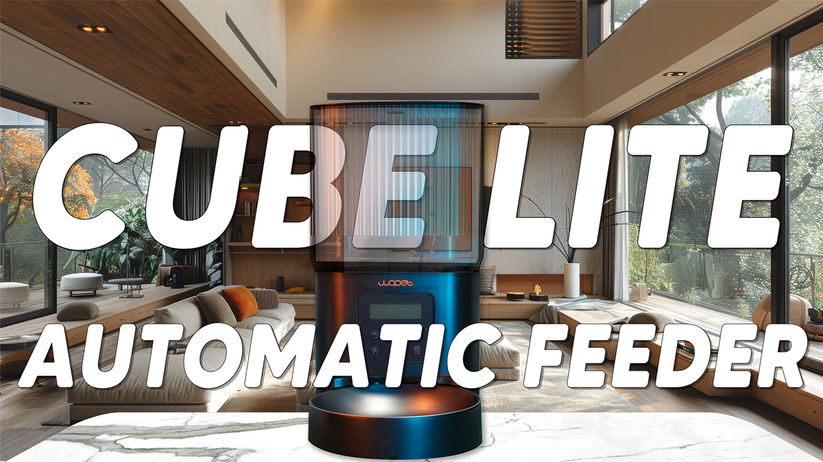 WOpet Cube Lite Automatic Cat Feeder