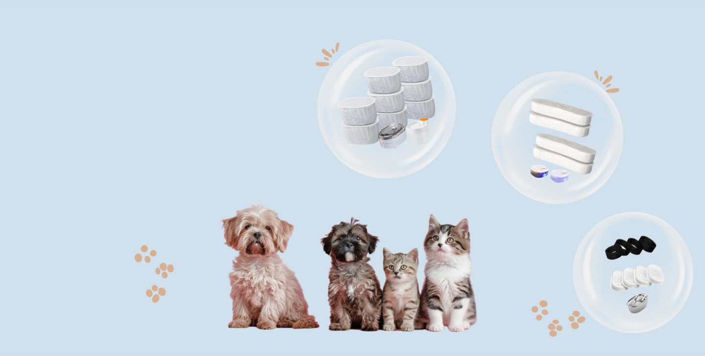 WOpet - Pet First, One Paw at A Time. Bring Joy to All Pet Lovers