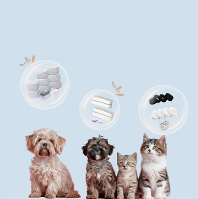 WOpet - Pet First, One Paw at A Time. Bring Joy to All Pet Lovers