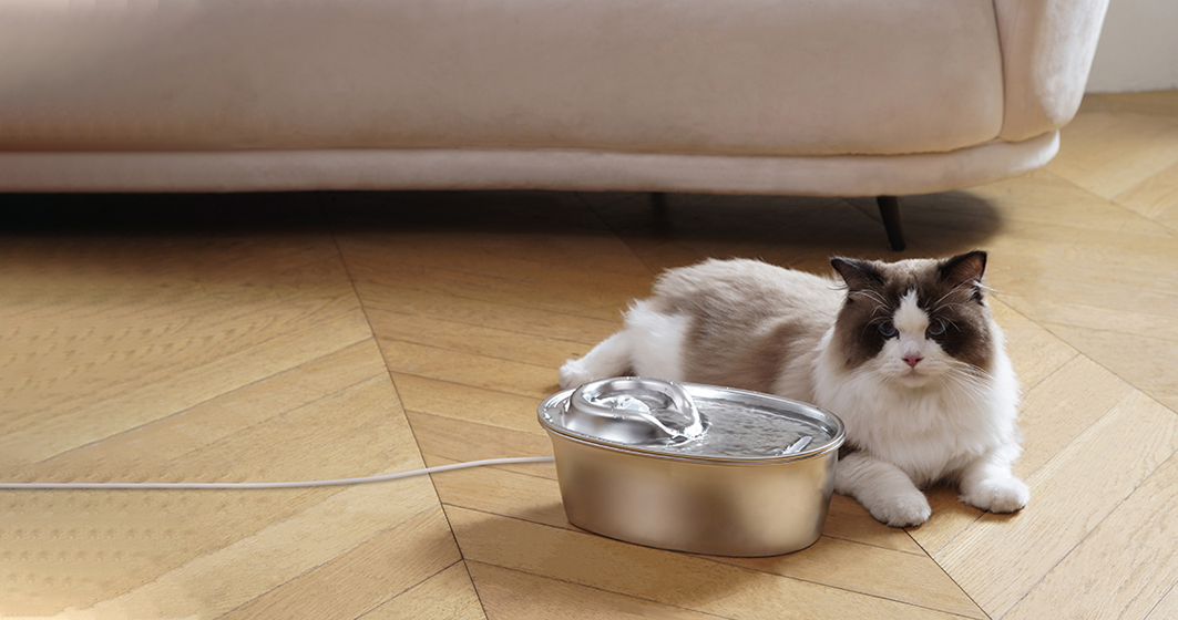 WOpet - Pet First, One Paw at A Time. Bring Joy to All Pet Lovers