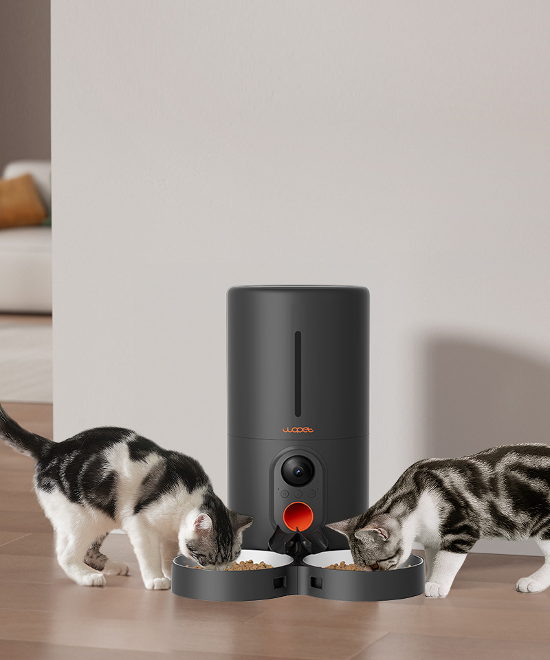 WOpet - Pet First, One Paw at A Time. Bring Joy to All Pet Lovers